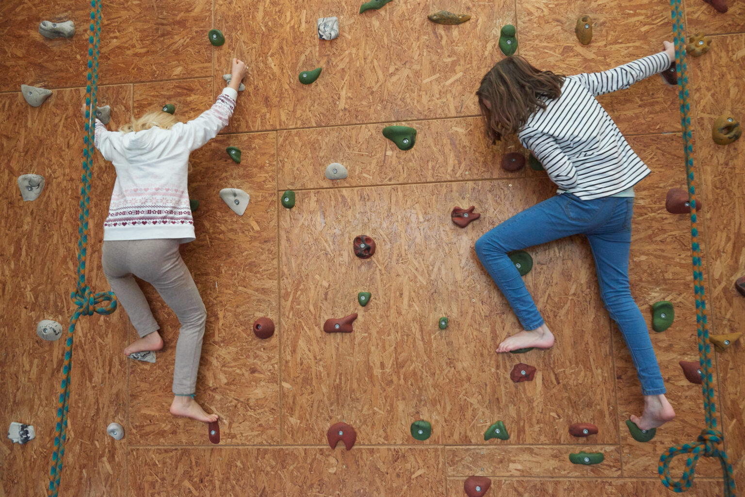 Mps II – MPS-Deutschland