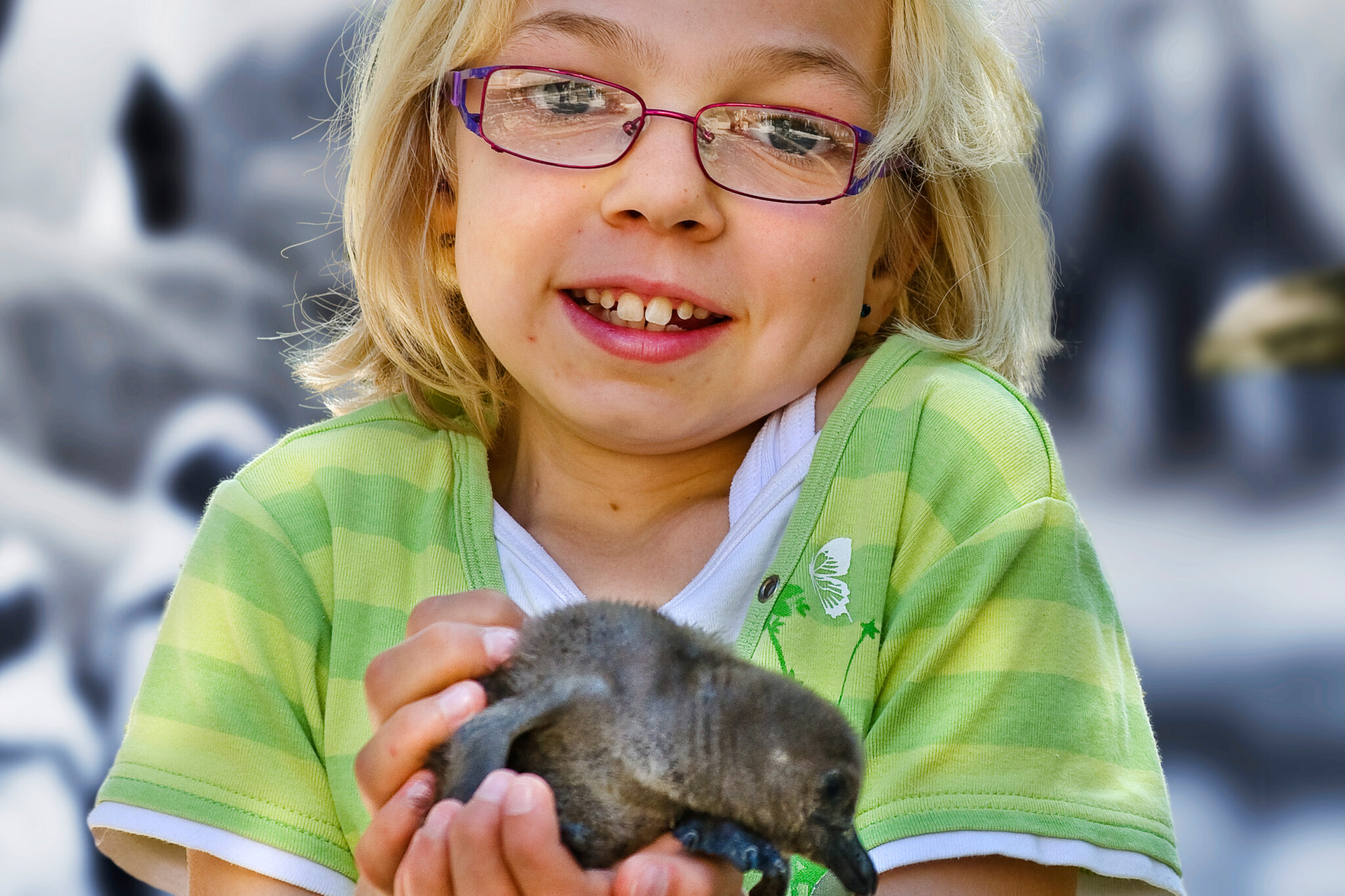 Mps II – MPS-Deutschland